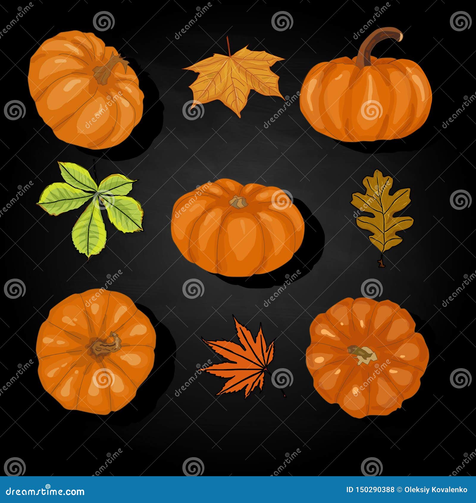 Colorful Pumpkin and Leaves Top View. Vector Illustration Stock Vector ...