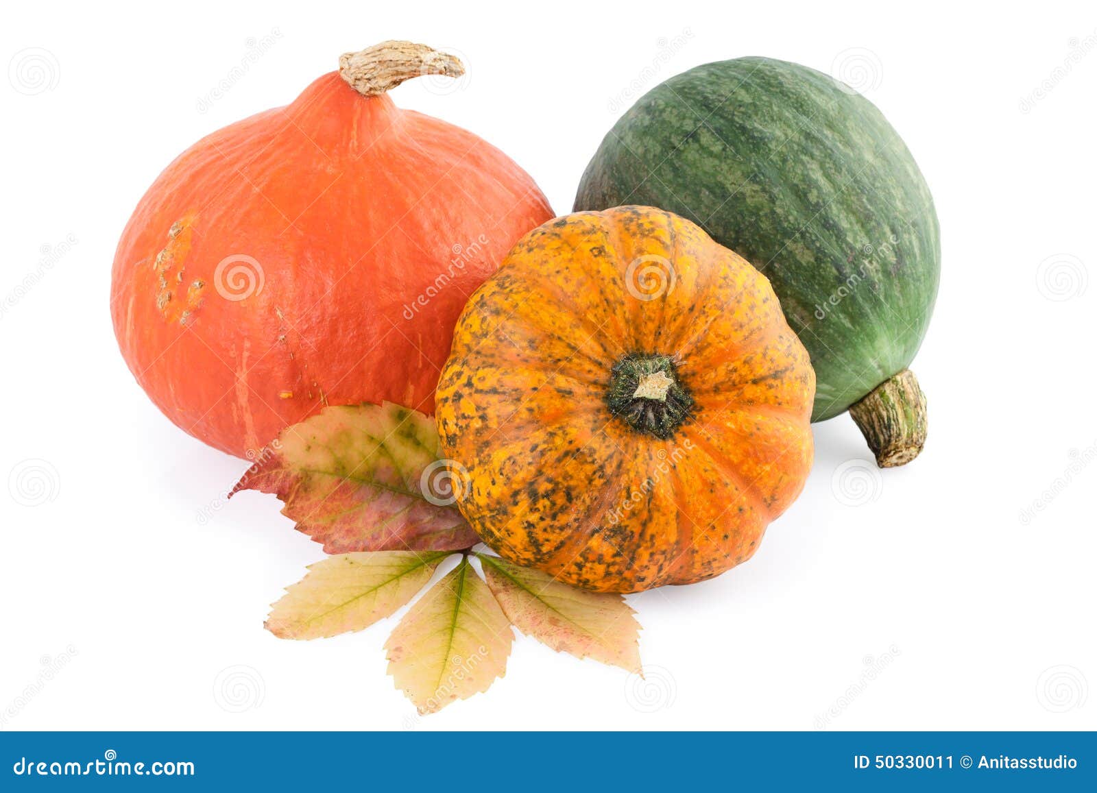 Colorful Pumpkins Squash stock image. Image of autumn - 50330011