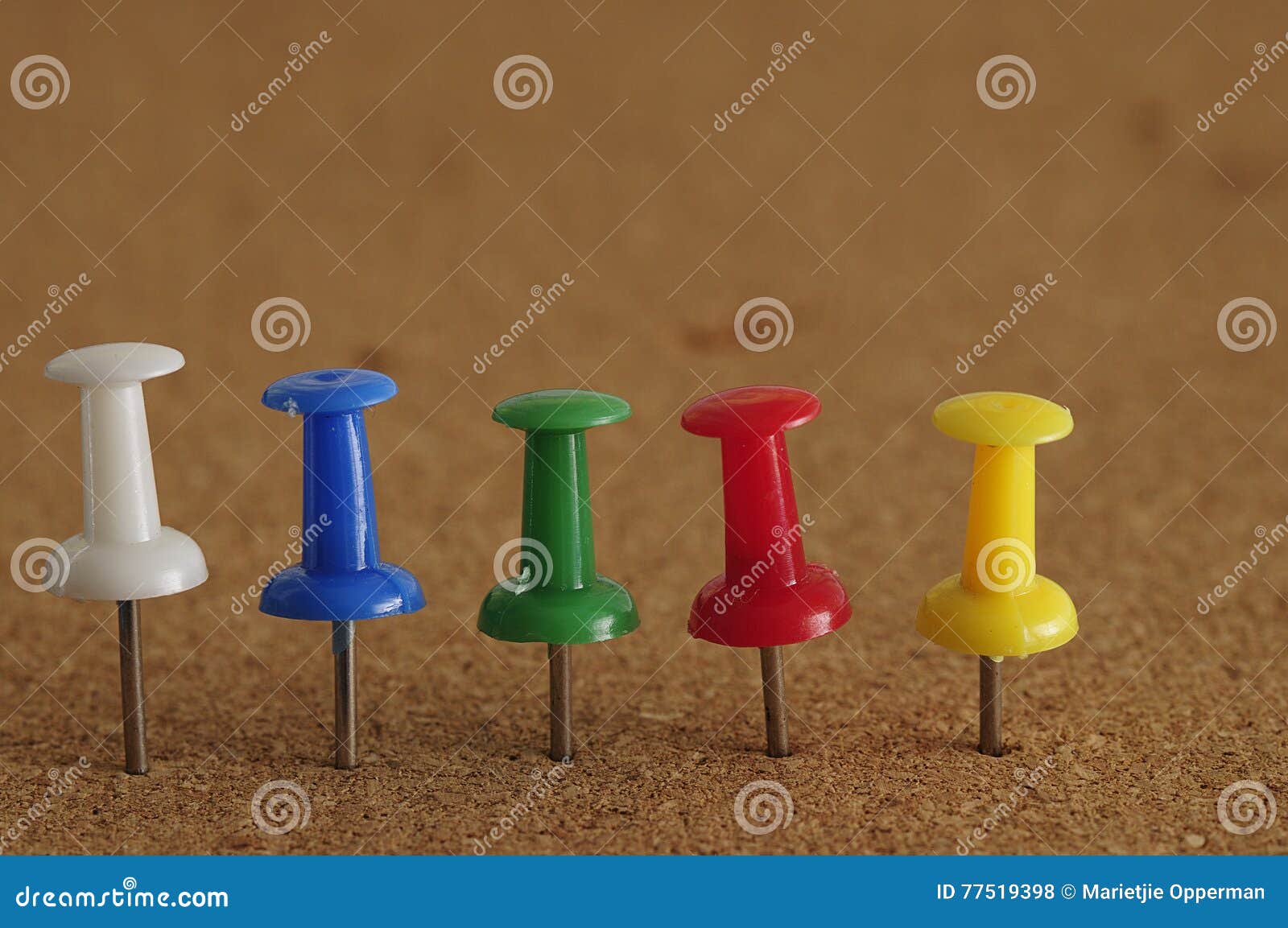 Colorful Push Pins in a Row Stock Photo - Image of marker, attach: 77519398