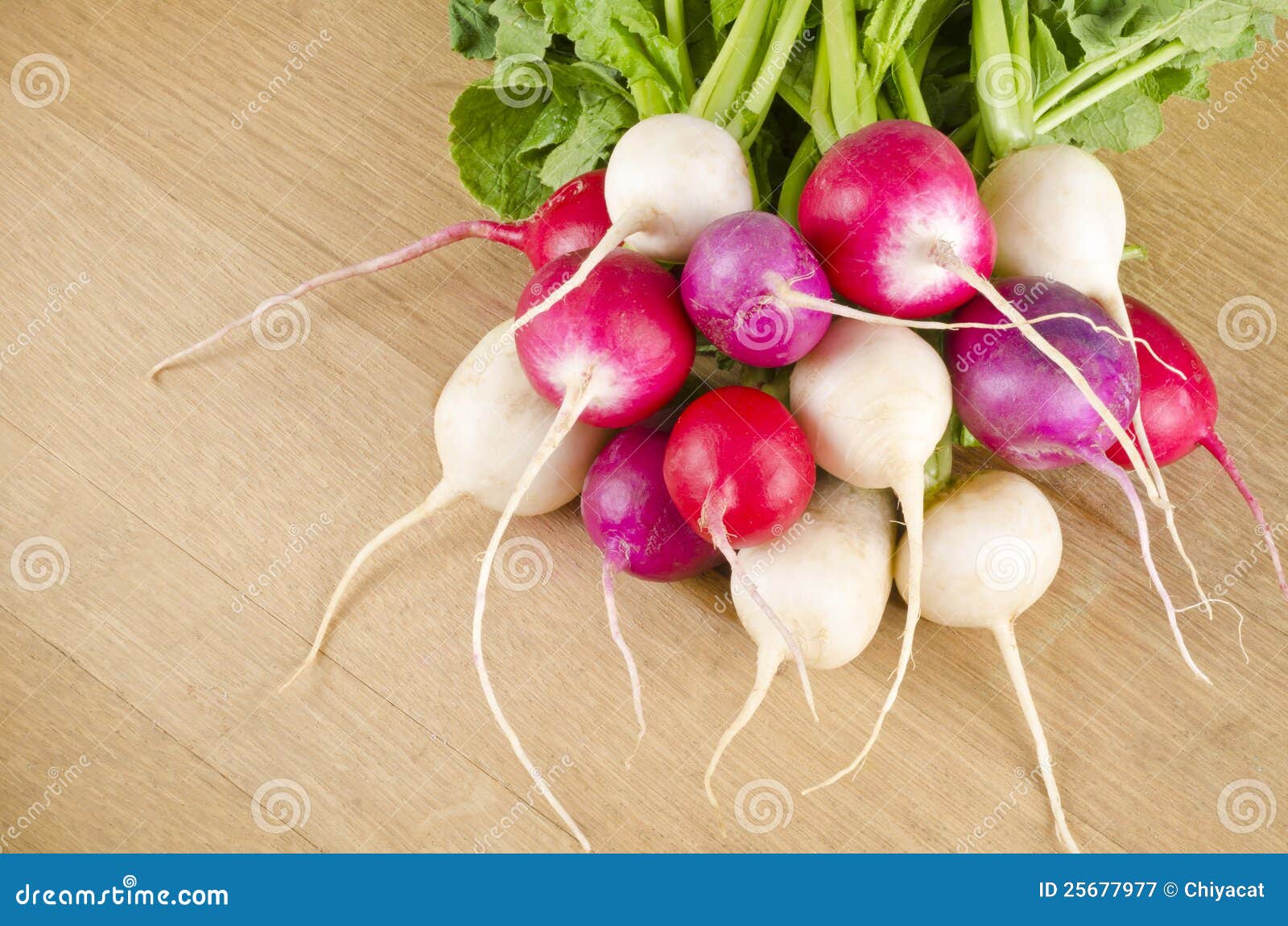 Colorful Radishes #2 stock image. Image of turnips, food - 25677977