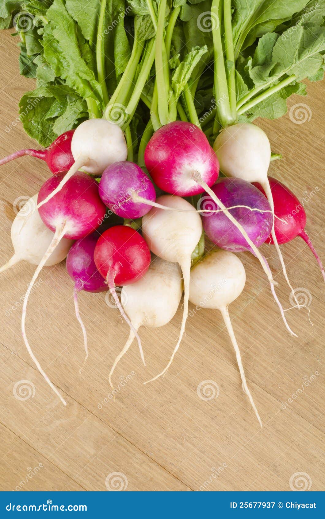 Colorful Radishes #3 stock image. Image of turnip, summer - 25677937