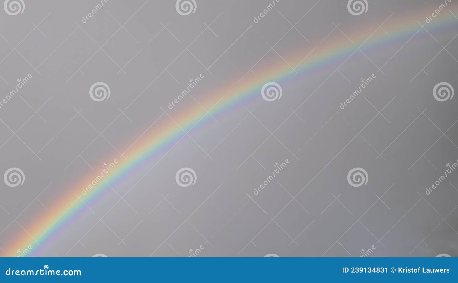 RAinbow on a dark grey sky stock image. Image of tree - 239134831