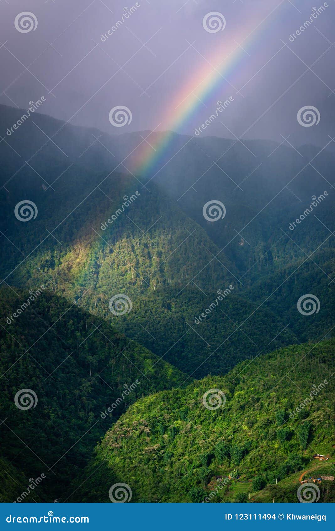 Colorful of Rainbow in the Forest during Rain Fall Stock Photo - Image ...