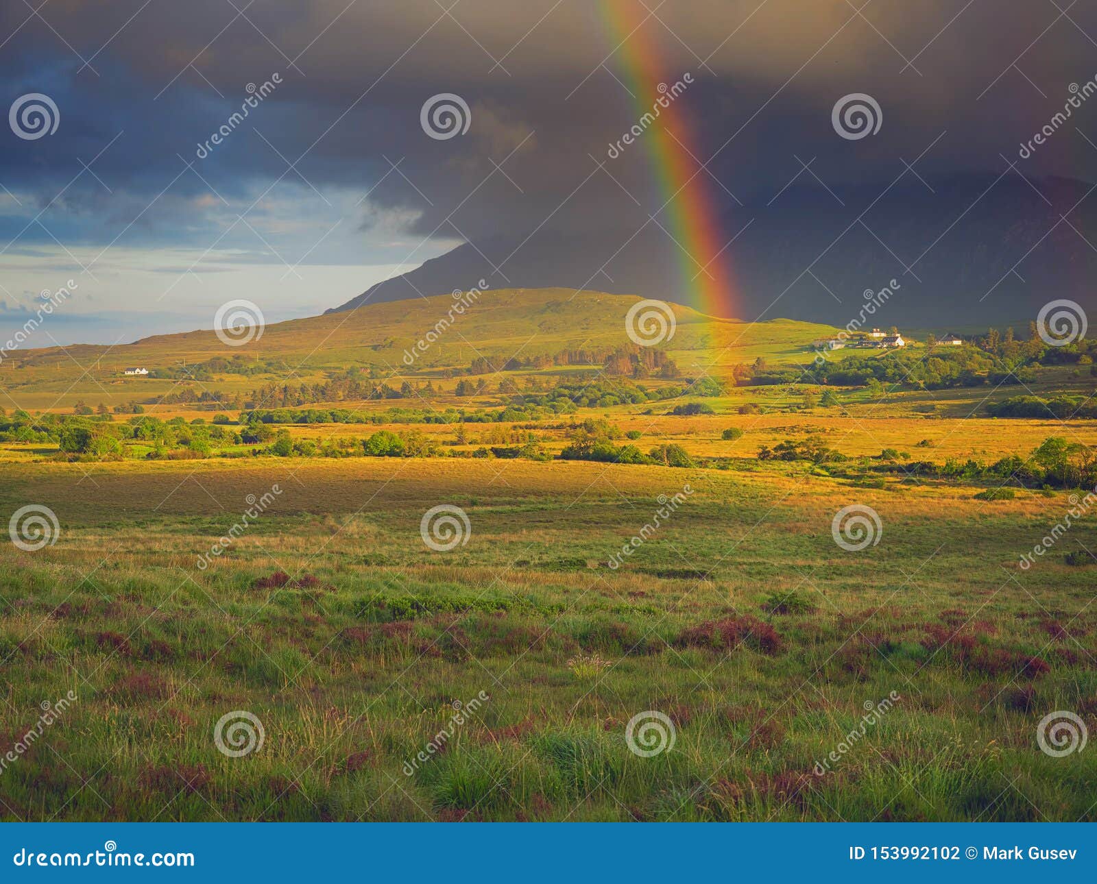 Colorful Rainbow in a Green Field, Dramatic Sky, Connemara Loop ...