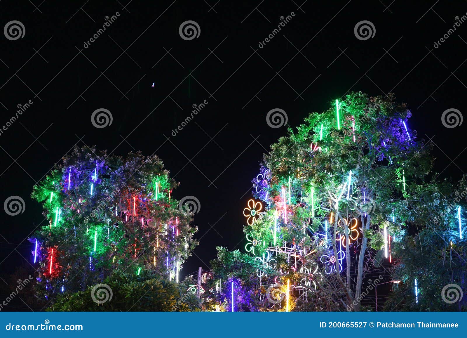 Colorful Rainbow Lights Mounted on a Large Tree Outdoors at Night ...