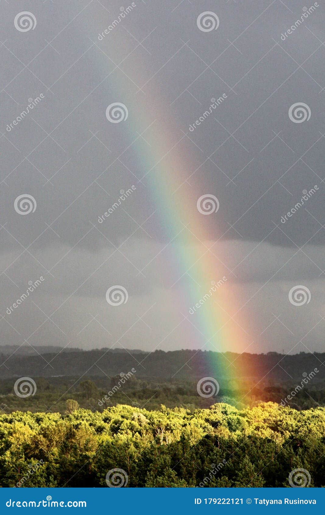 Colorful Rainbow Over the Forest in Summer Stock Image - Image of ...