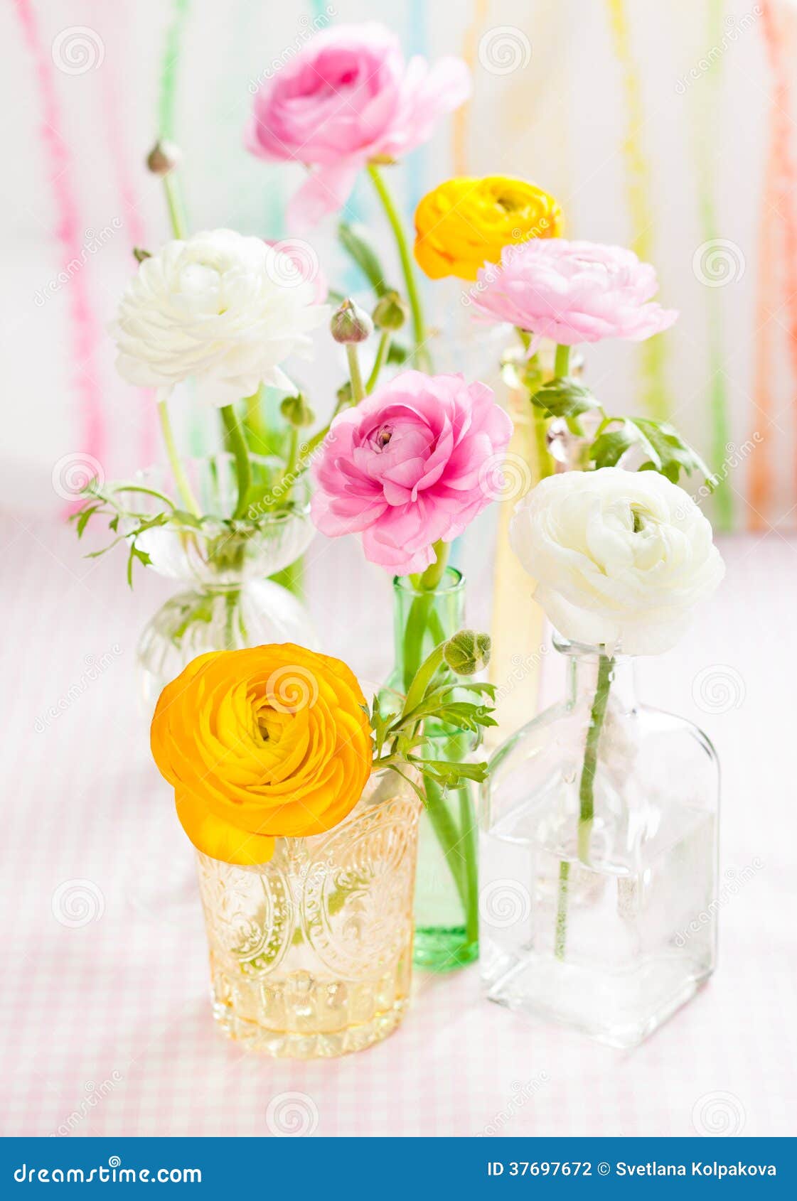 Colorful ranunculus stock photo. Image of bottle, beautiful - 37697672