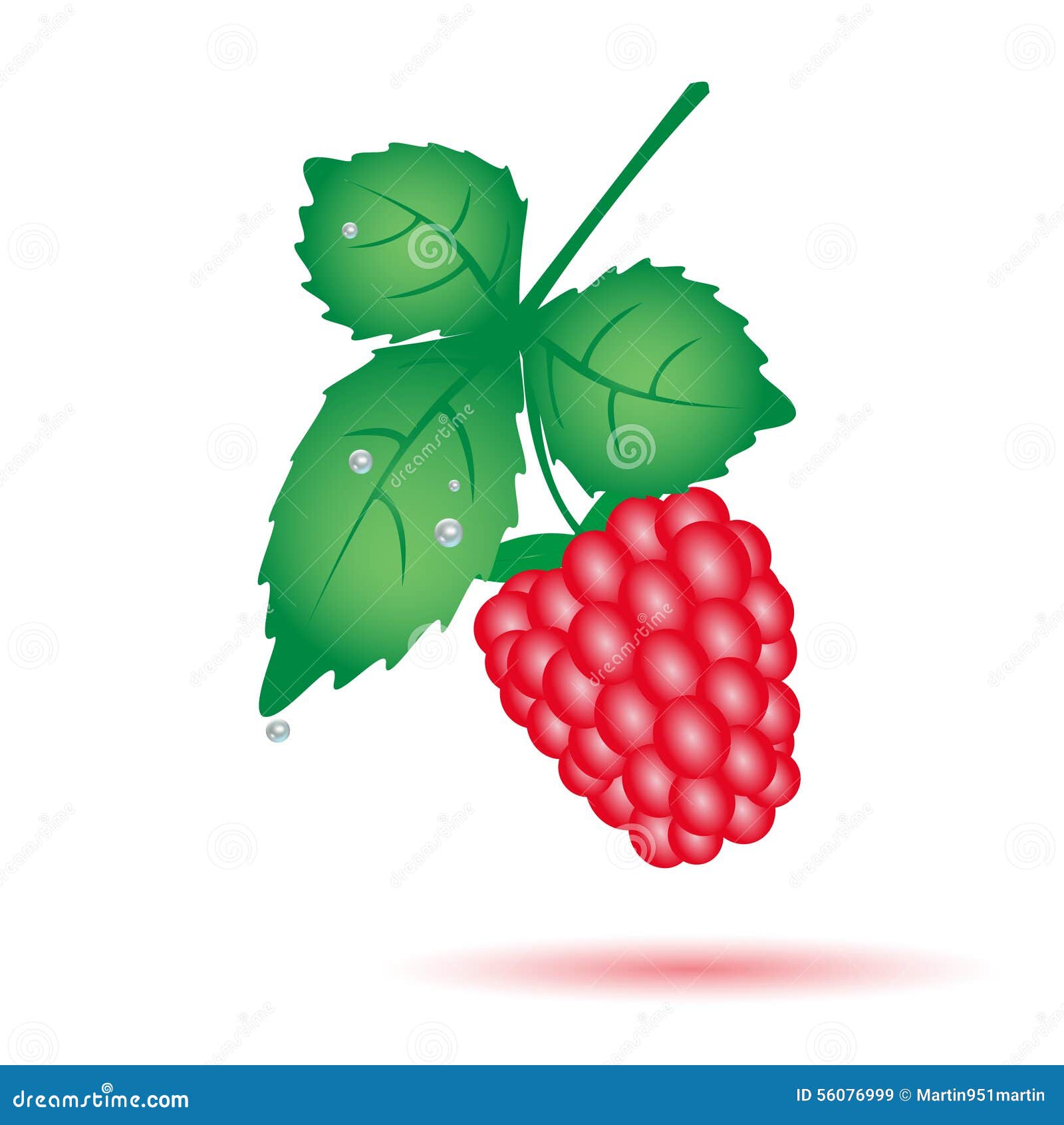Colorful Raspberry Summer Fruit with Leaf Eps10 Stock Vector ...