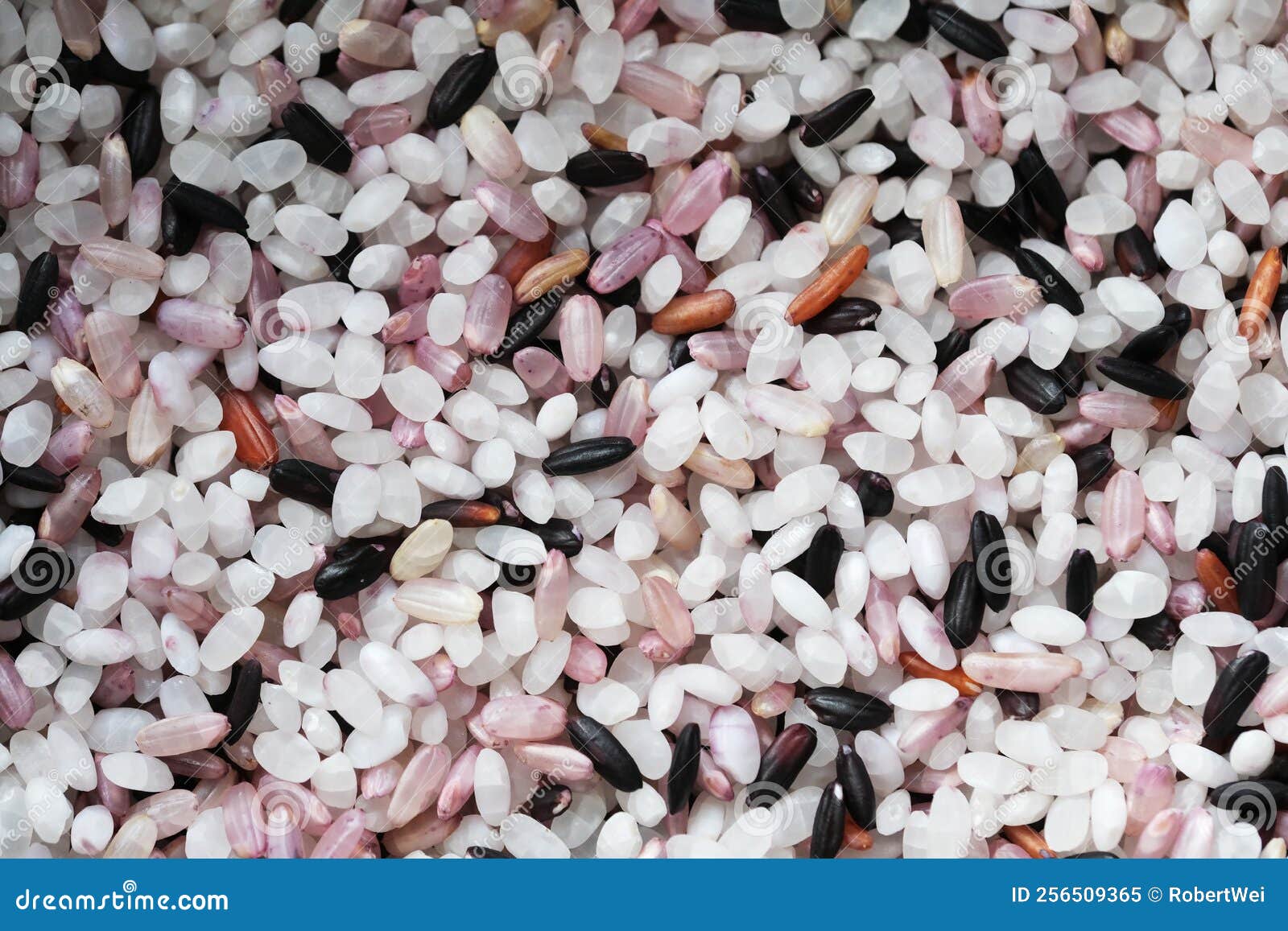 Colorful Raw Rice Background Stock Image - Image of texture, close ...