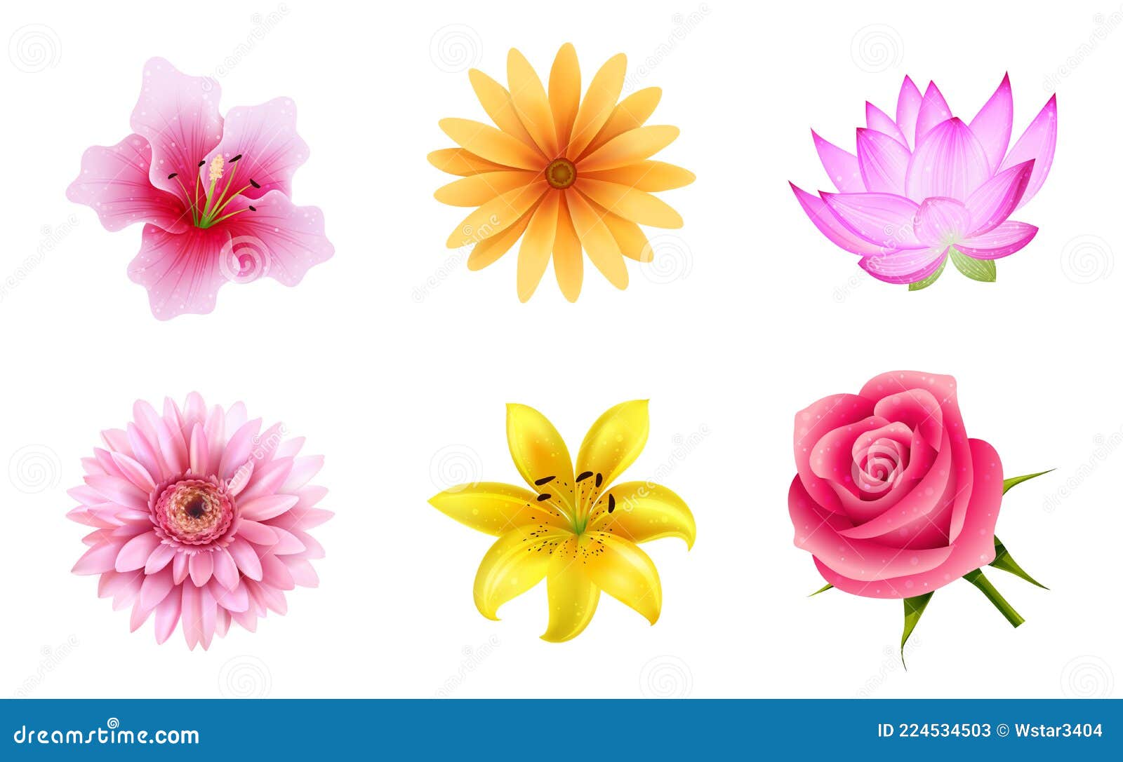Colorful Realistic Flower Set for Celebration Decoration Stock Vector ...
