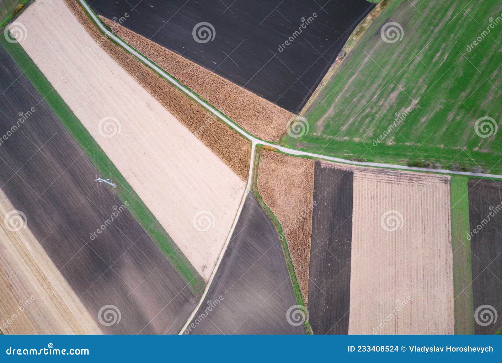 Colorful and Rectangular Fields with Corn and Wheat from a Bird`s Eye ...
