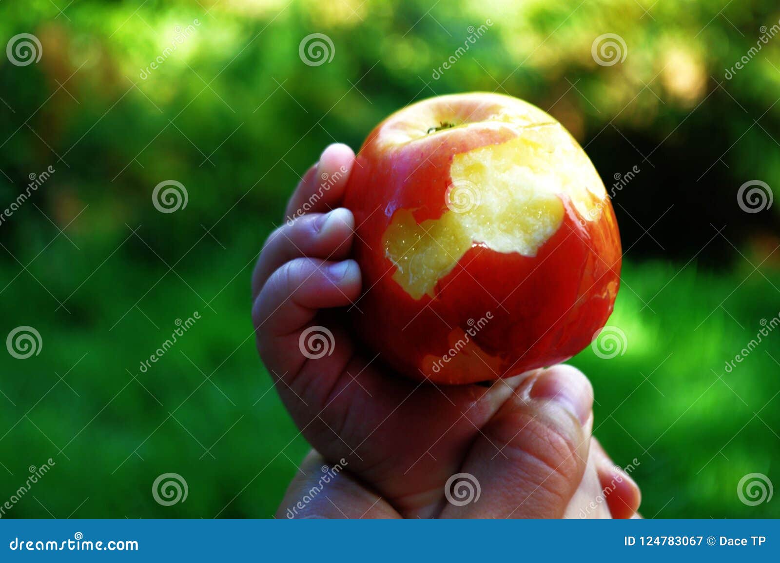 Bite apple in little hand stock image. Image of rich - 124783067