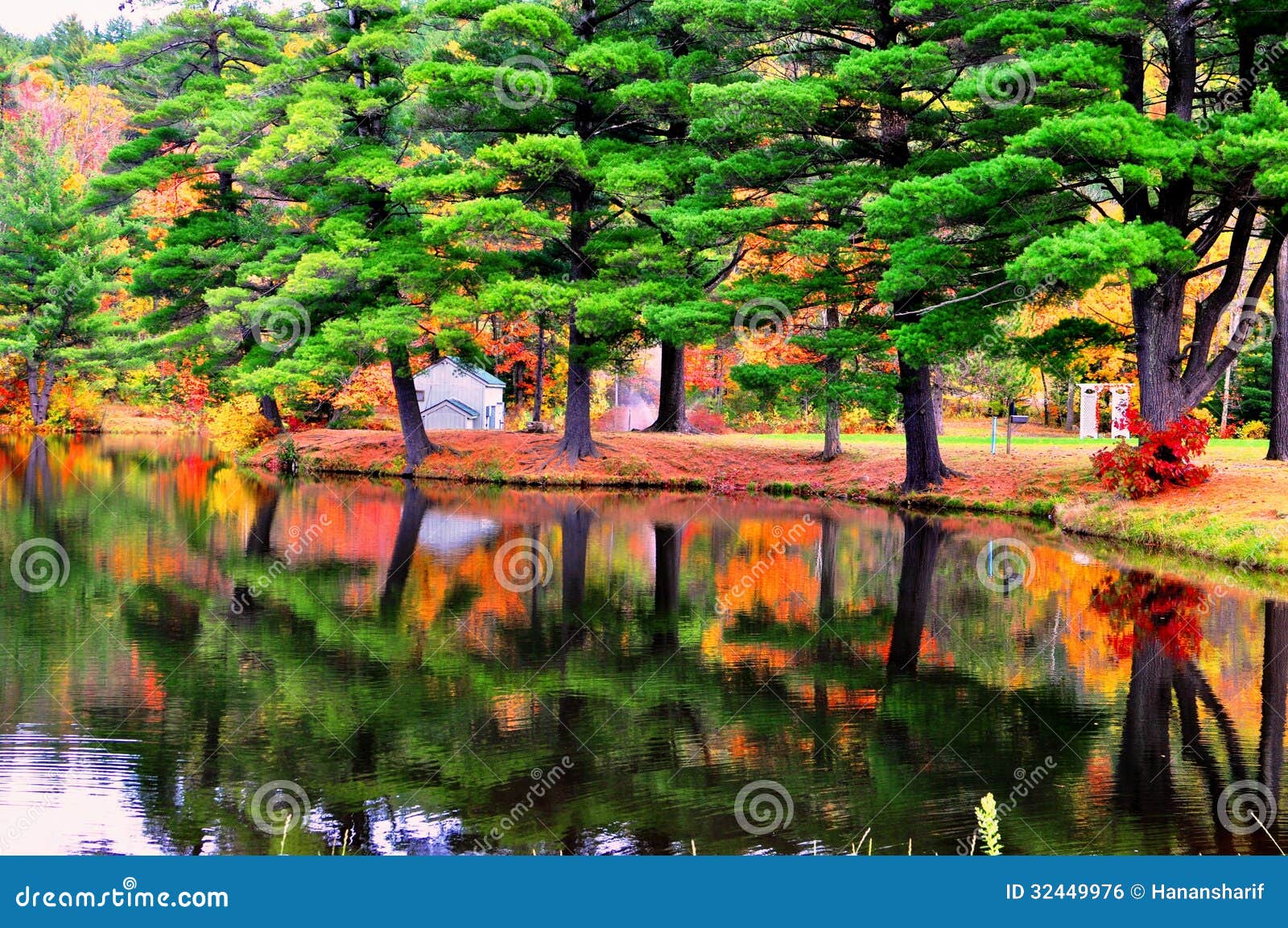 Colorful Reflection of Trees on Water Stock Photo - Image of colour ...