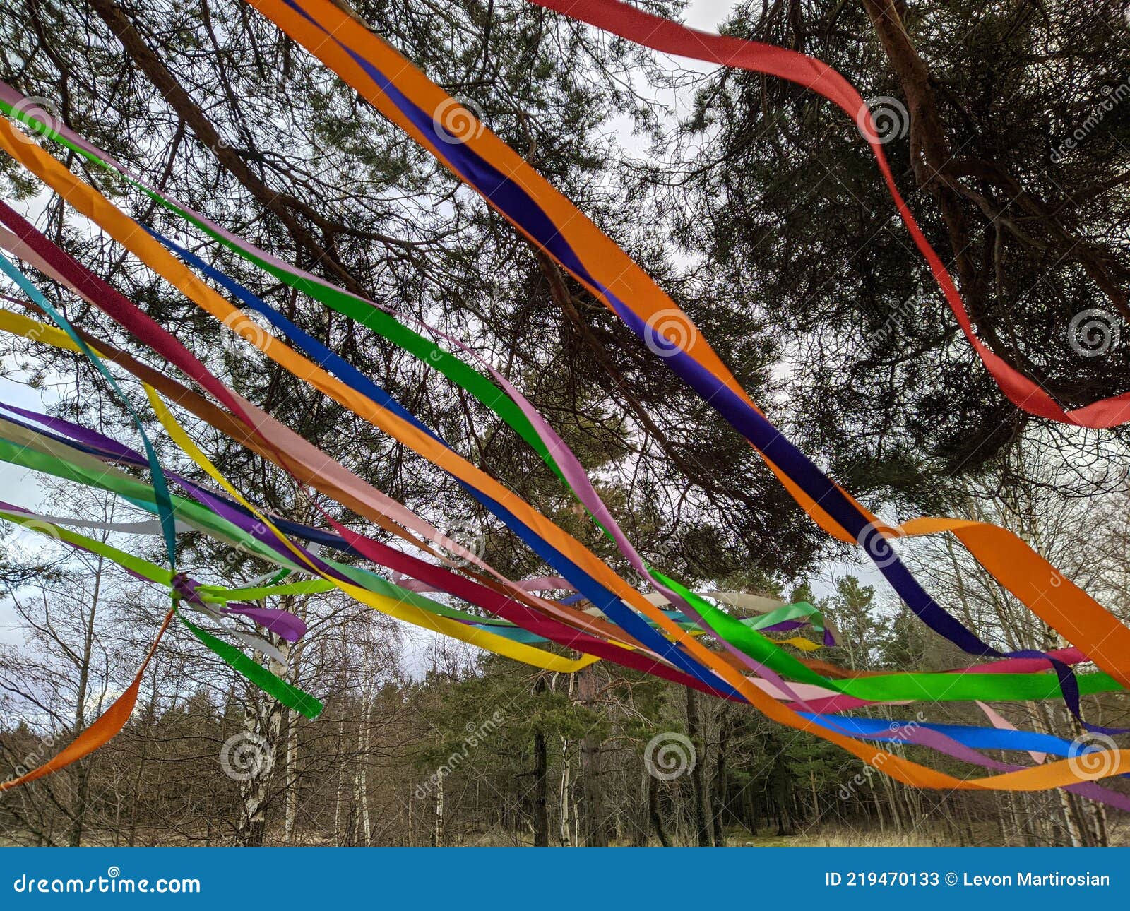 Colorful Ribbons Fluttering from the Wind in the Forest Stock Image ...