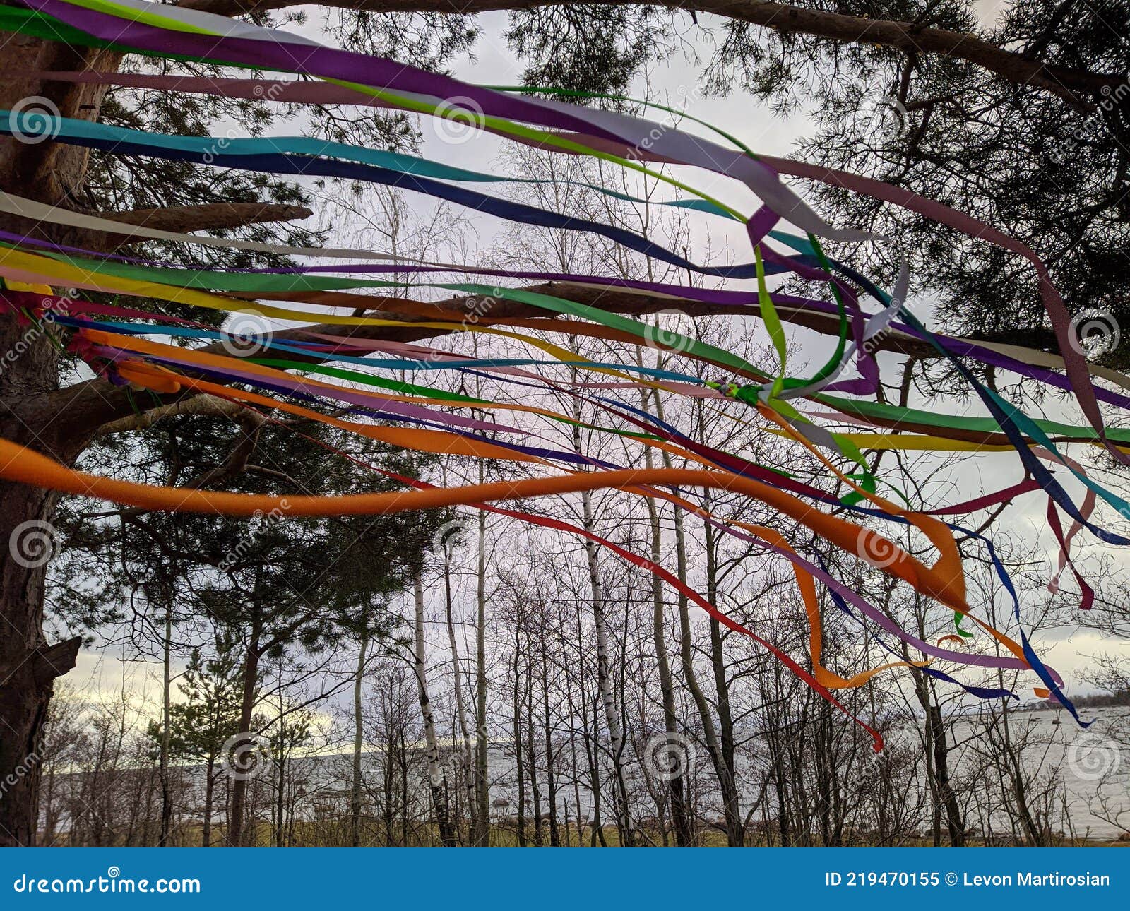 Colorful Ribbons Fluttering from the Wind in the Forest Stock Image ...