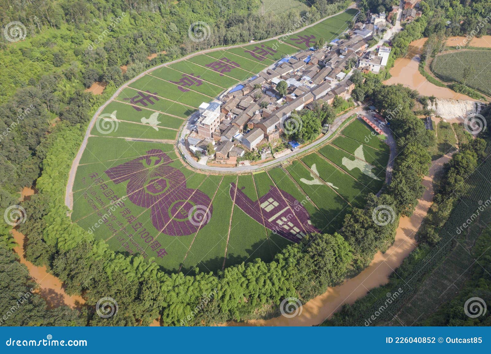 Colorful Rice Fields in Yunnan, China Editorial Photography - Image of ...