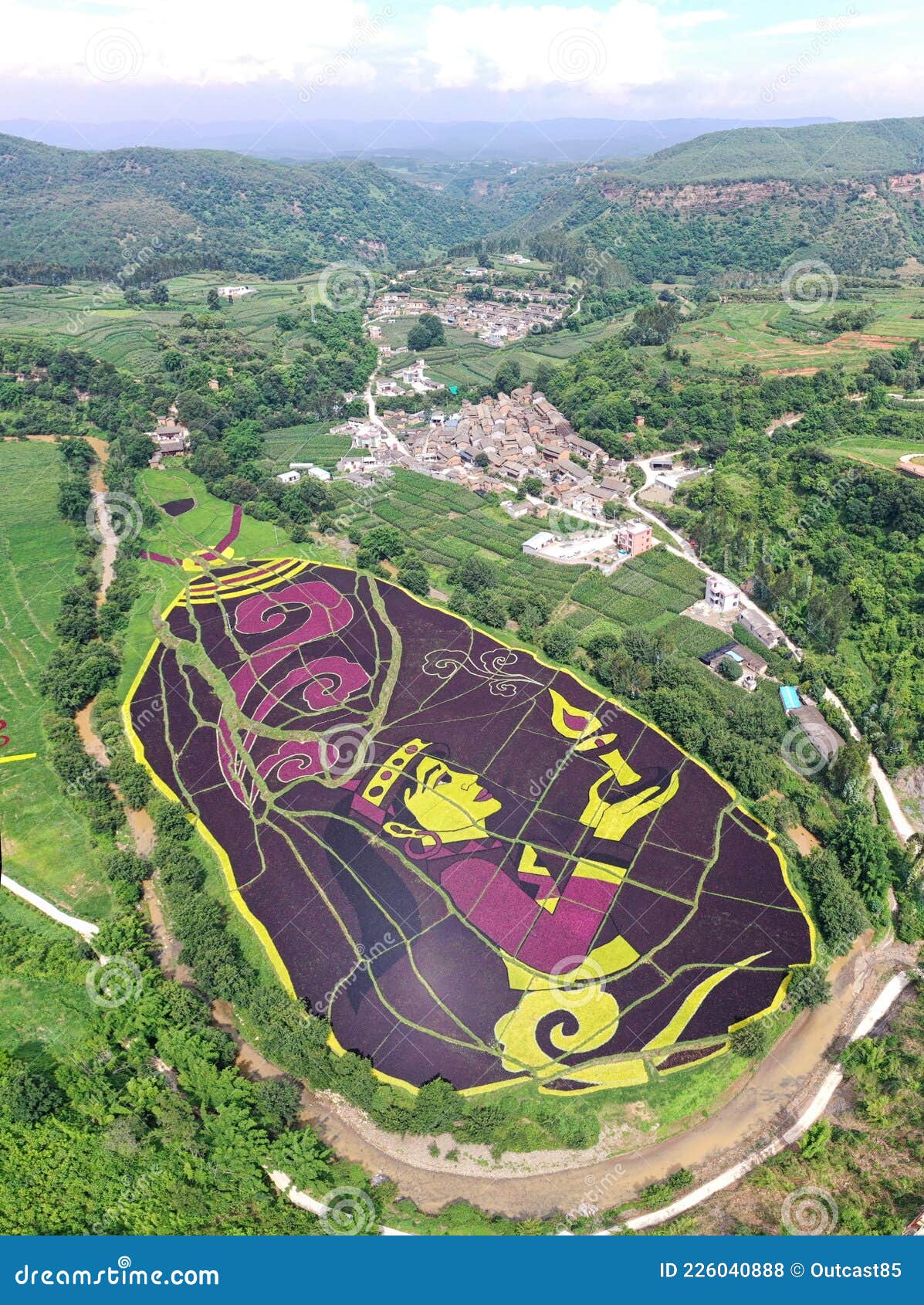 Colorful Rice Fields in Yunnan, China Editorial Stock Photo - Image of ...