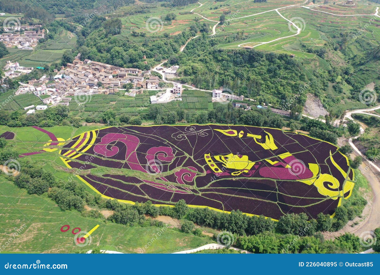 Colorful Rice Fields in Yunnan, China Editorial Image - Image of ...