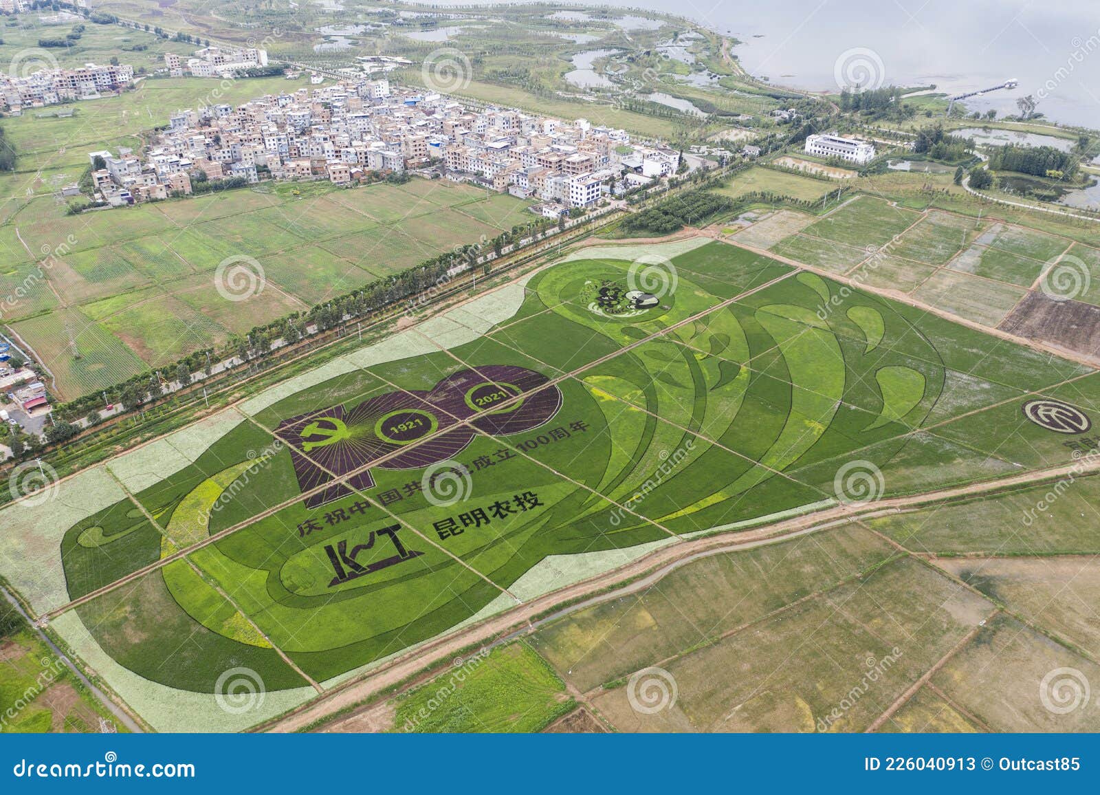 Colorful Rice Fields in Yunnan, China Editorial Stock Photo - Image of ...
