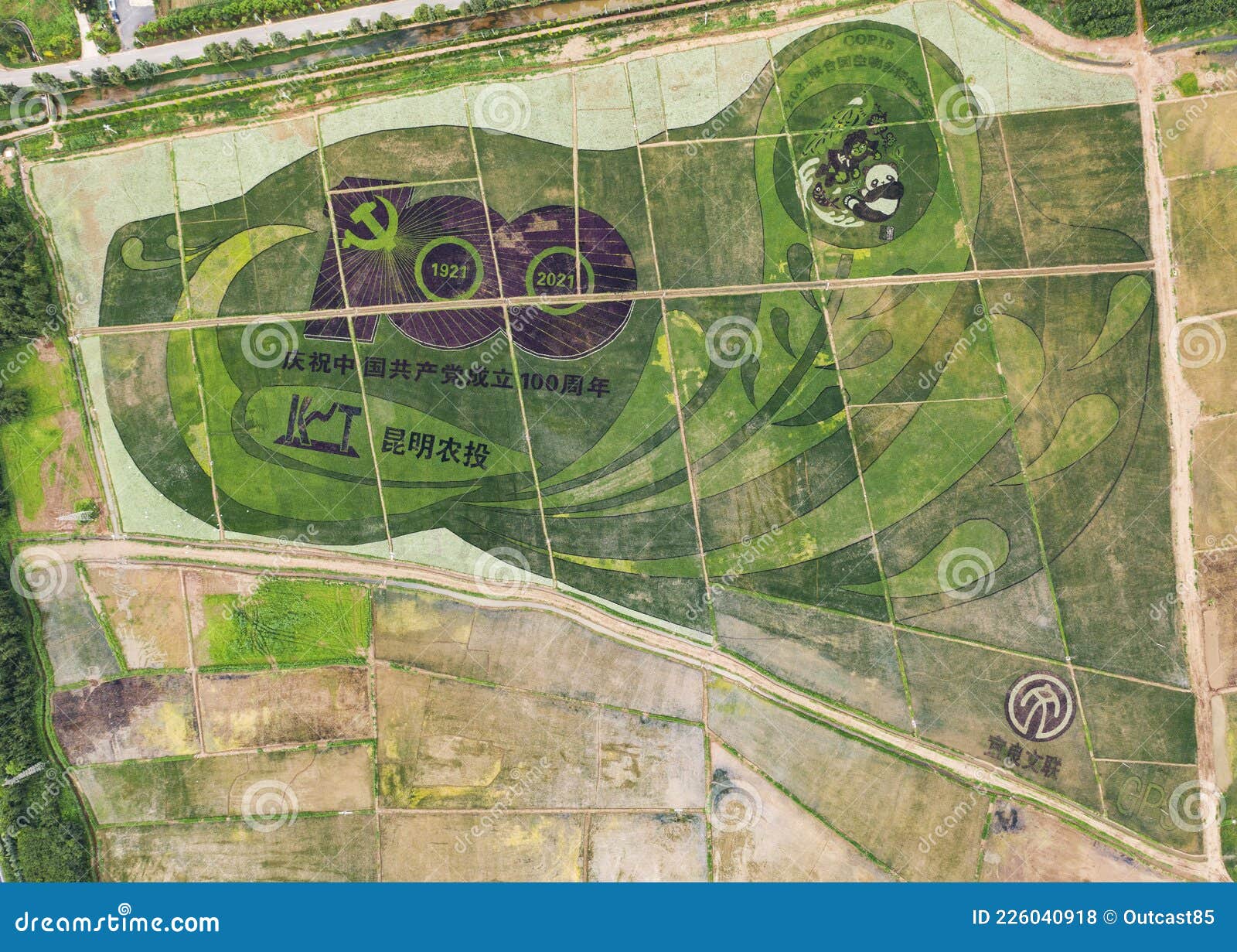 Colorful Rice Fields in Yunnan, China Editorial Stock Photo - Image of ...