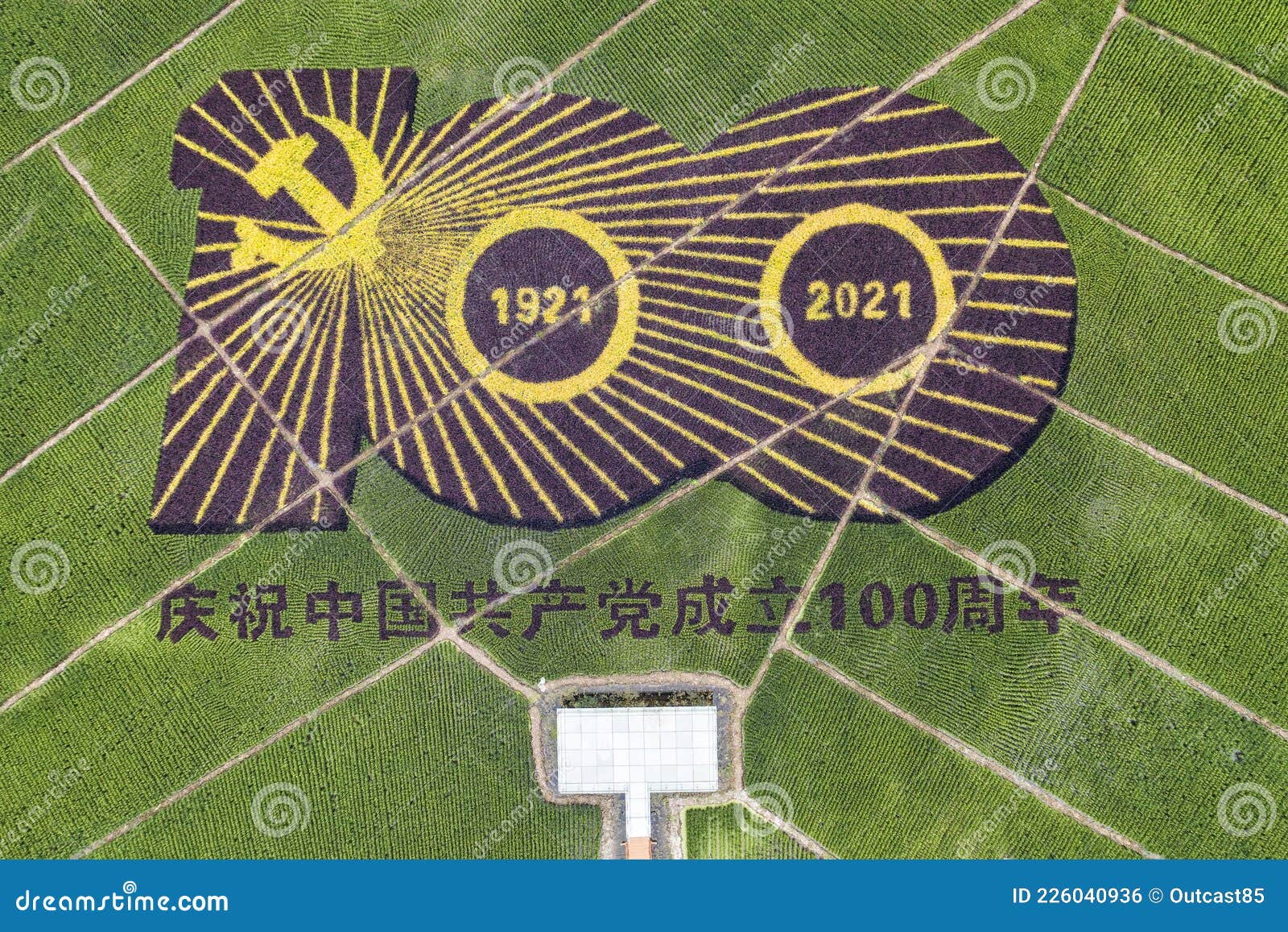 Colorful Rice Fields in Yunnan, China Editorial Photo - Image of aerial ...