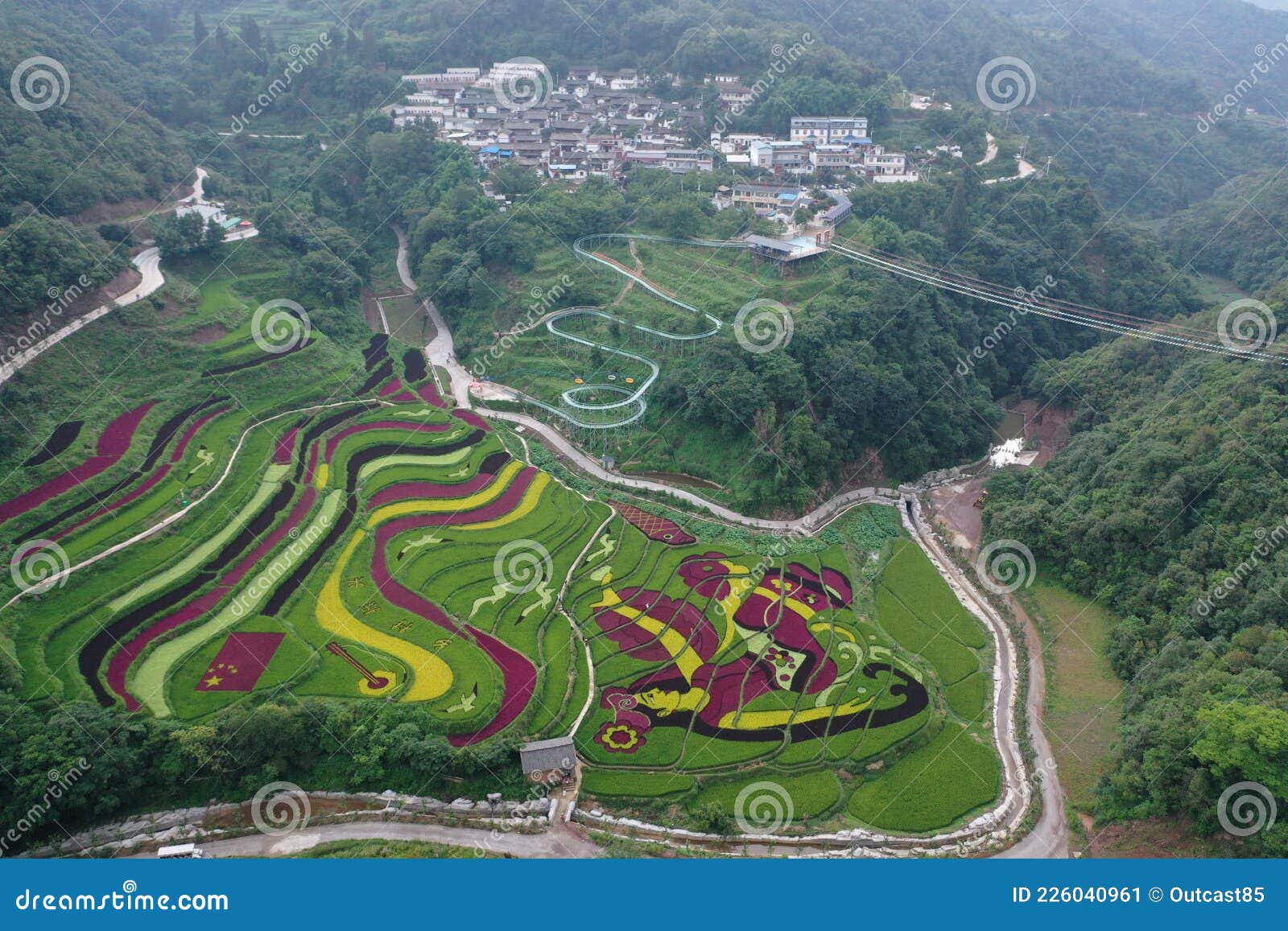 Colorful Rice Fields in Yunnan, China Editorial Photo - Image of party ...