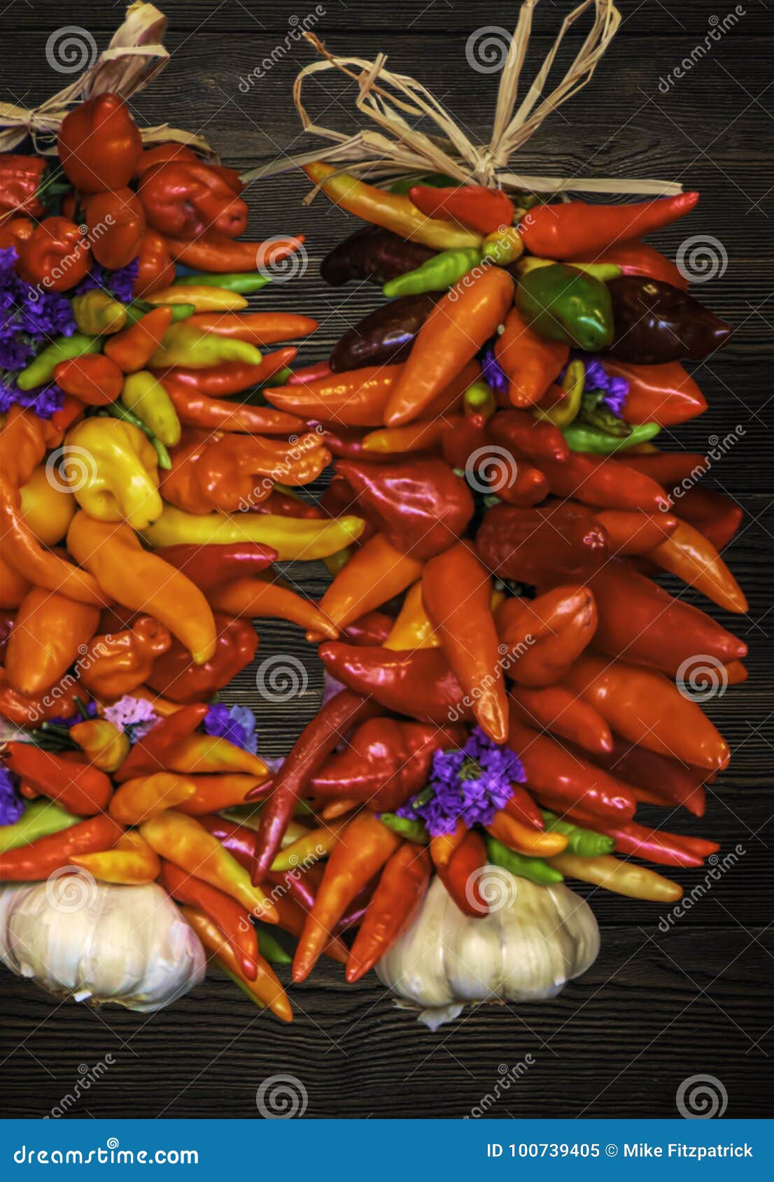 Colorful Ristras stock image. Image of pepper, decor - 100739405