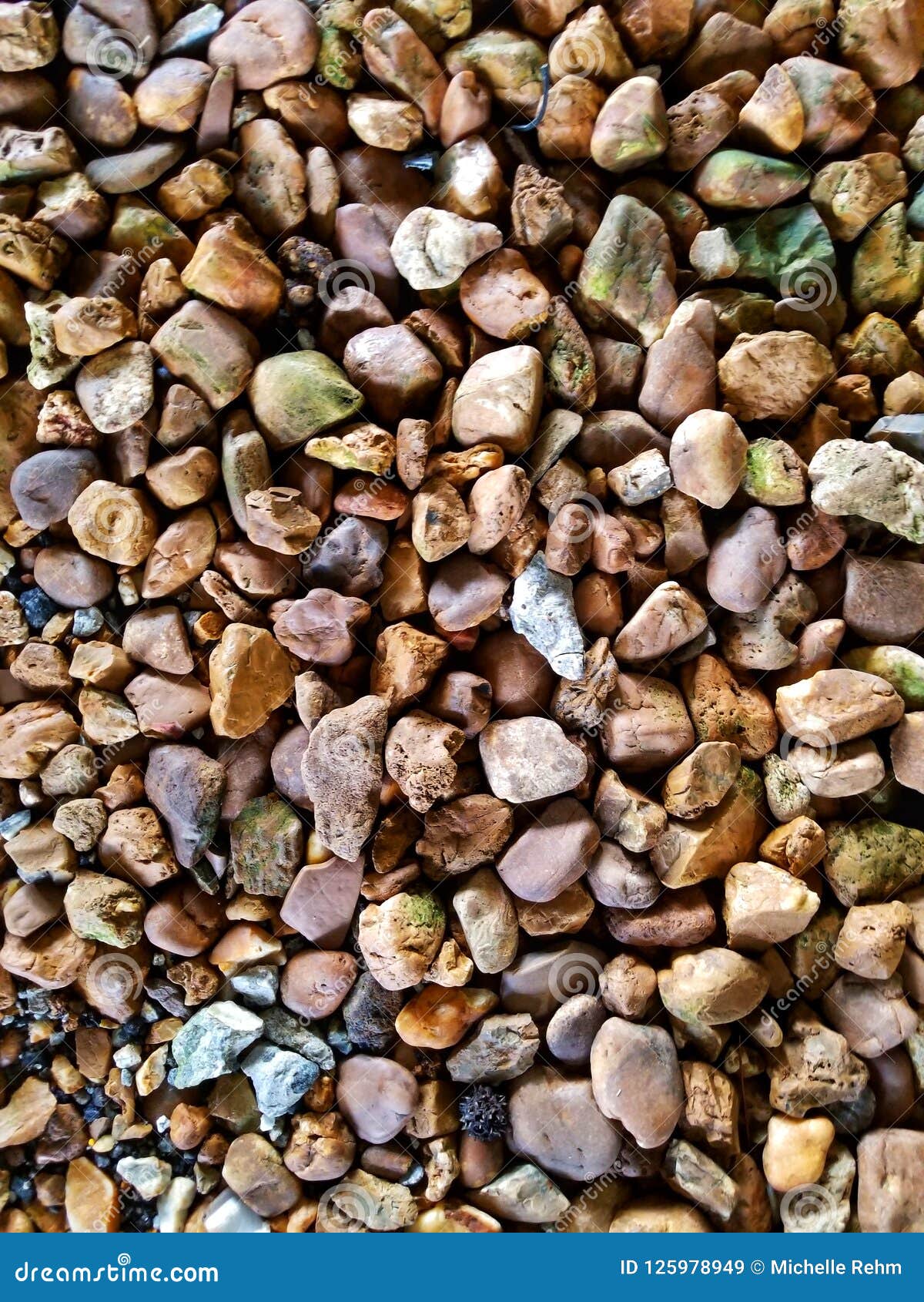 Pebbles stock image. Image of background, rock, texture - 125978949