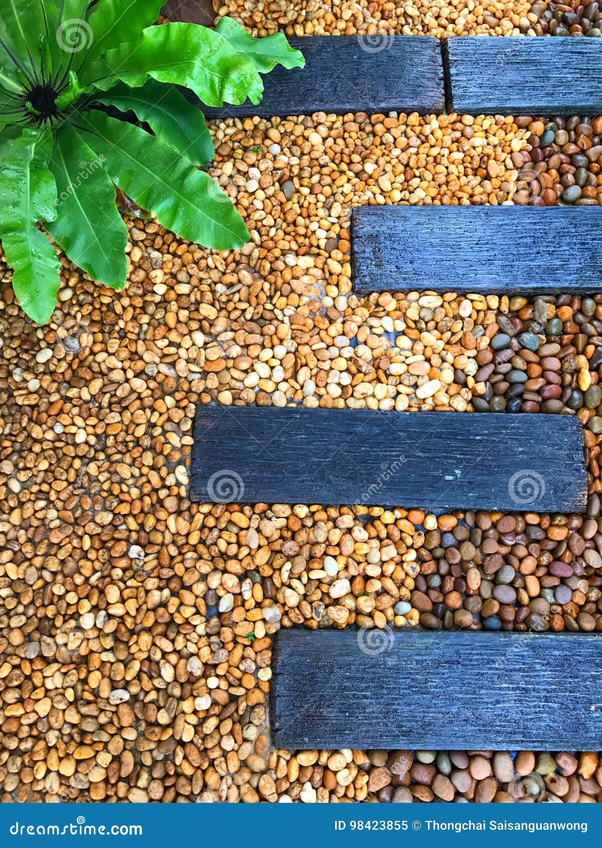 Colorful river rocks stock image. Image of black, rock - 98423855