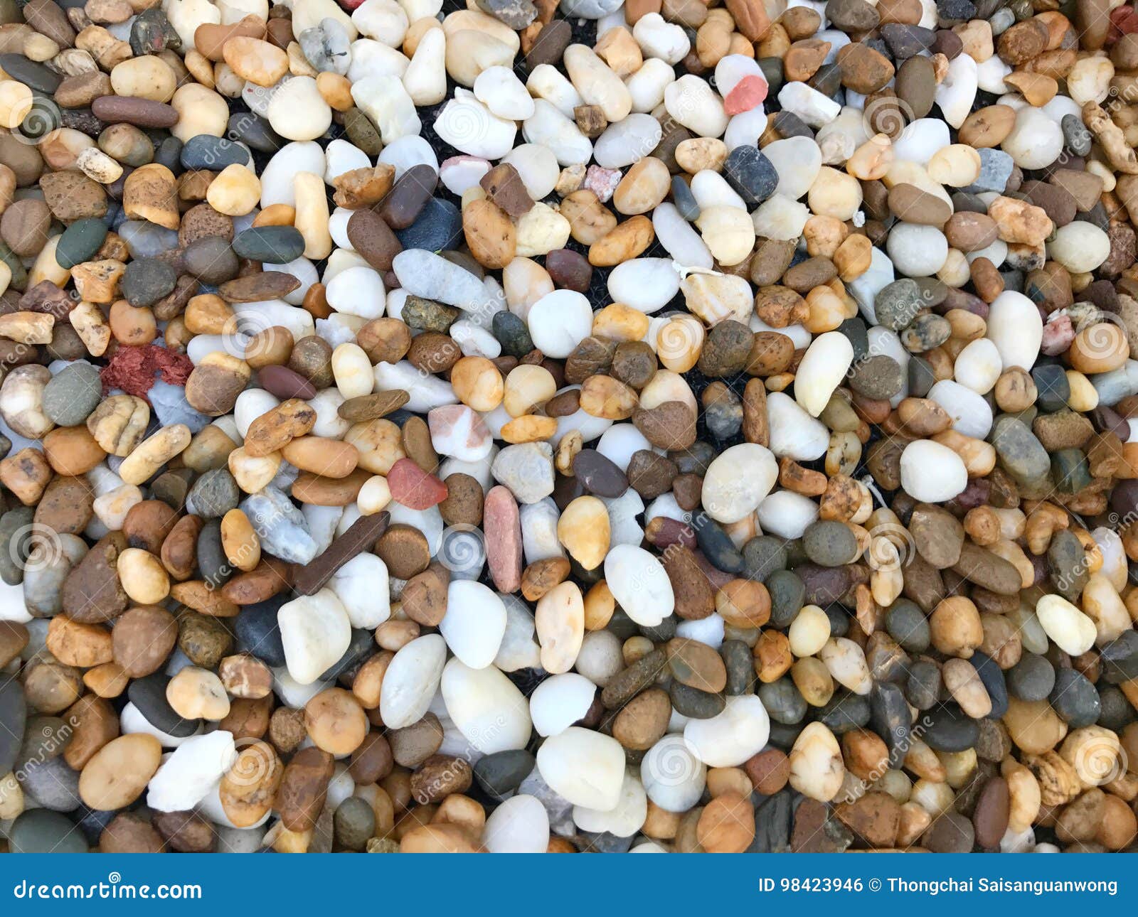 Colorful river rocks stock photo. Image of gravel, circle - 98423946