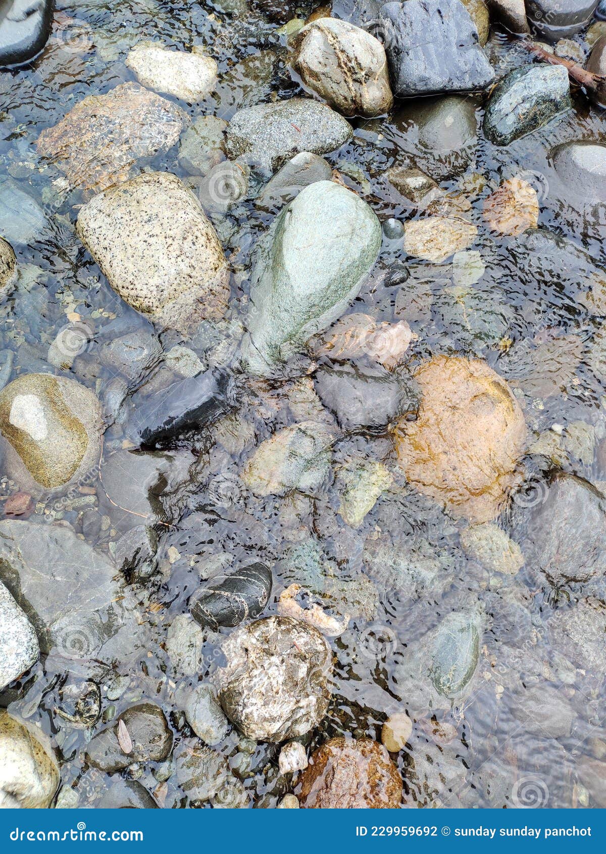 Colorful river rocks stock photo. Image of skykomish - 229959692
