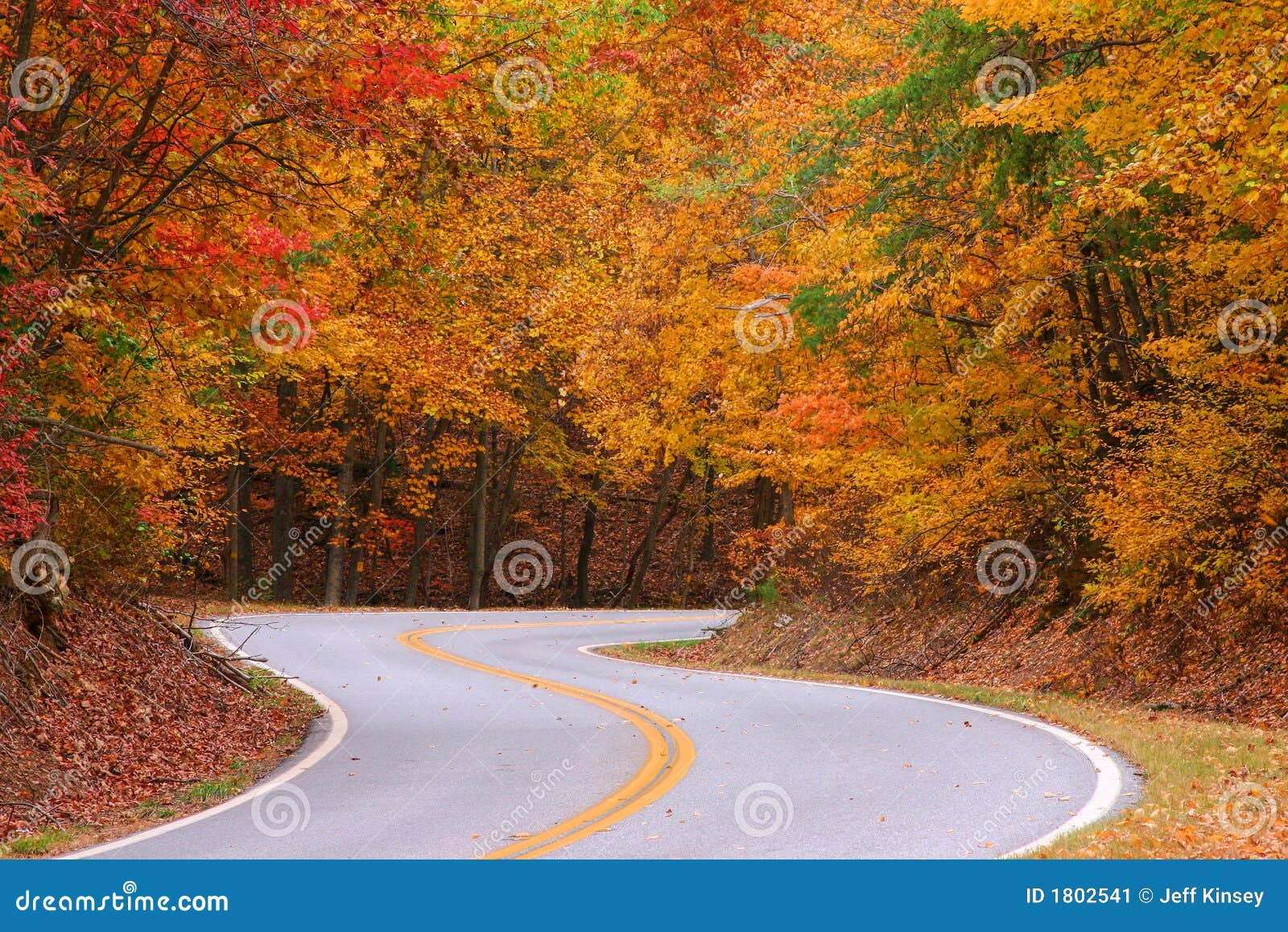Colorful Road stock image. Image of rural, road, scenic - 1802541