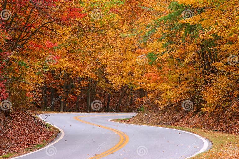Colorful Road stock image. Image of rural, road, scenic - 1802541