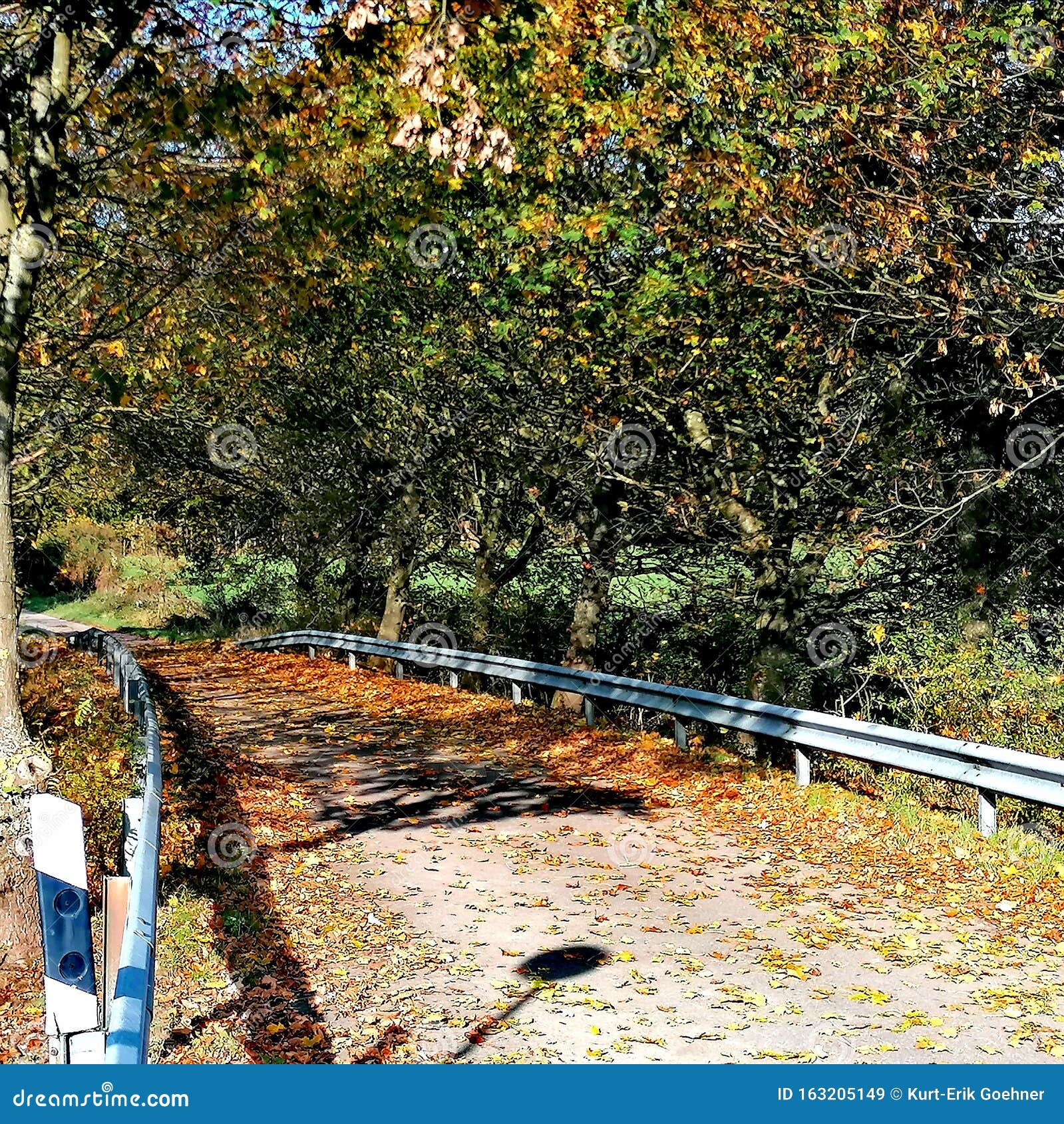 Colorful road with leaf stock image. Image of leaf, road - 163205149