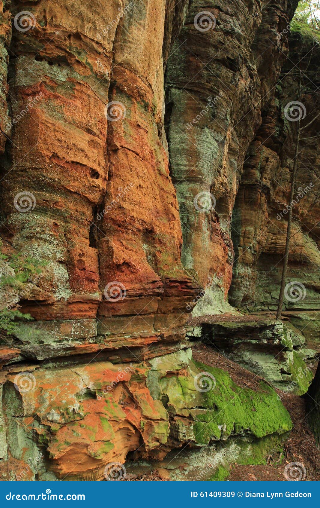Colorful Rock Wall stock image. Image of detail, colorful - 61409309
