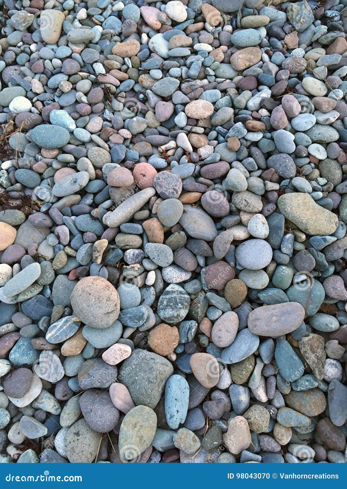 Colorful Rocks on the Beach Stock Photo - Image of stones, stone: 98043070