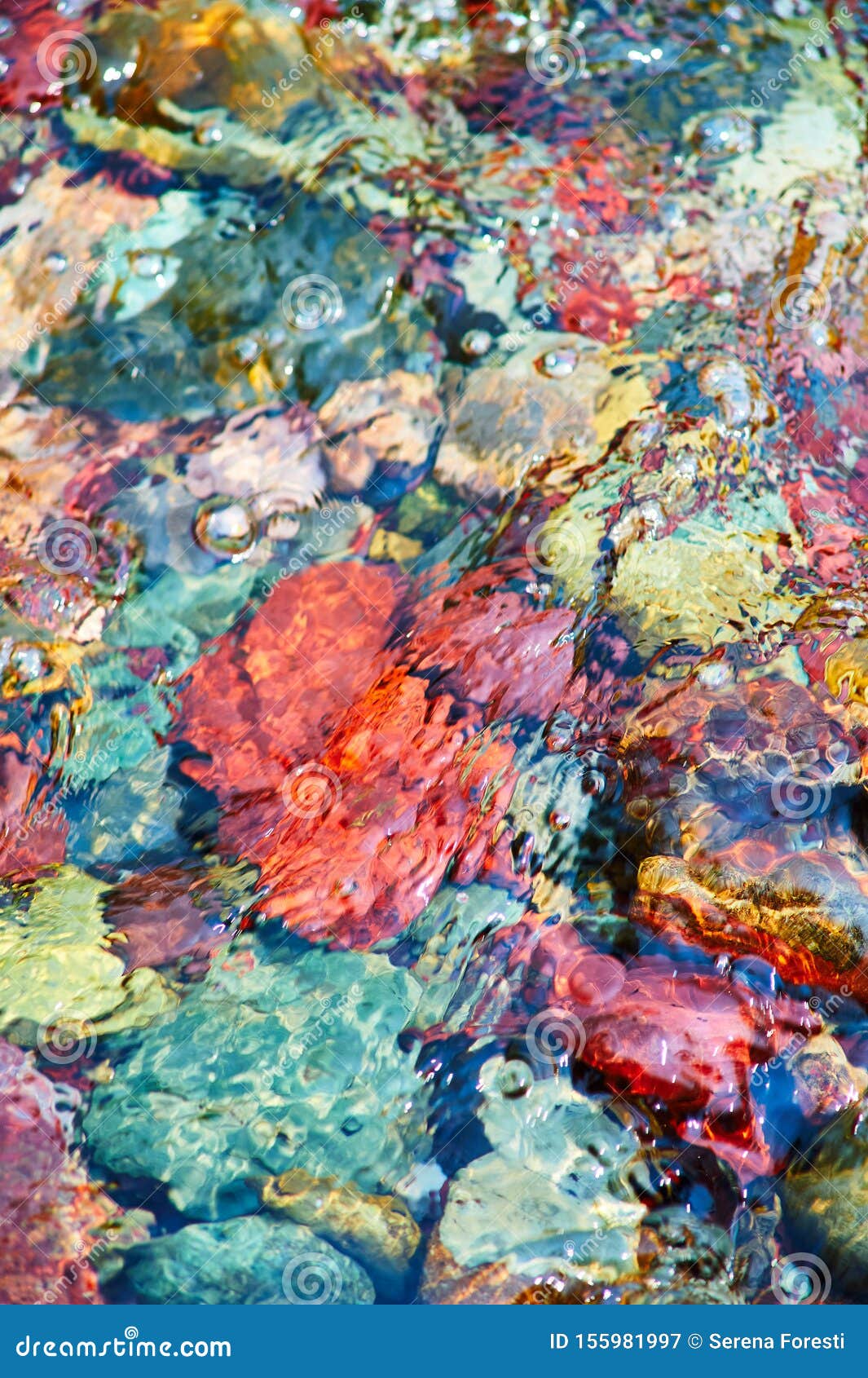 Colorful Rocks in a Glacier National Park River Stock Image - Image of ...