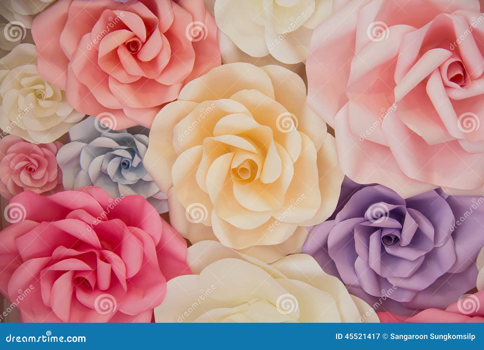 Rose On Backdrop Background Stock Image | CartoonDealer.com #51308533