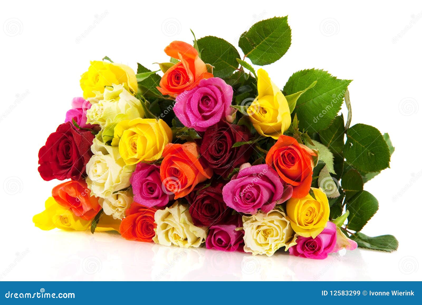 Colorful roses stock image. Image of birthday, flowers - 12583299