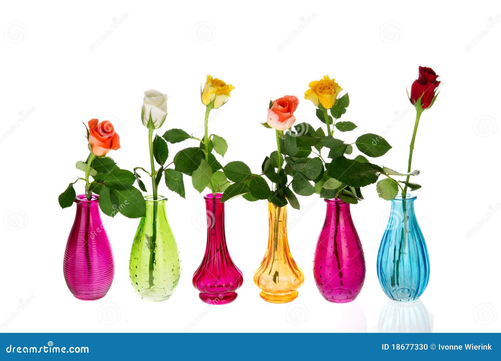 Colorful roses stock photo. Image of vases, transparency - 18677330