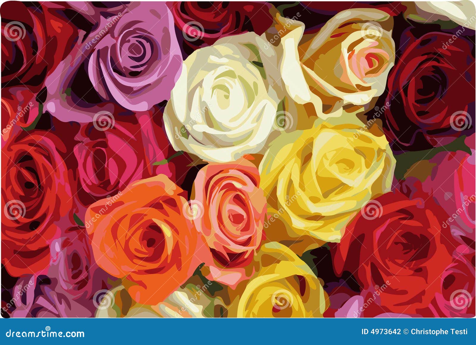 Colorful Roses stock vector. Illustration of decoration - 4973642