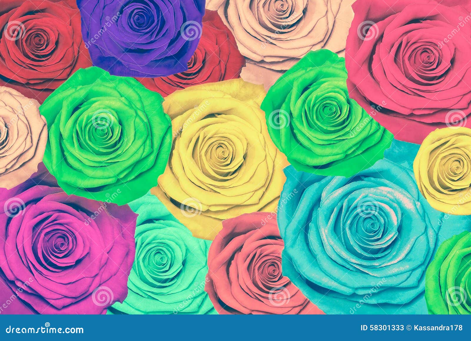 Colorful roses background stock image. Image of abstract - 58301333