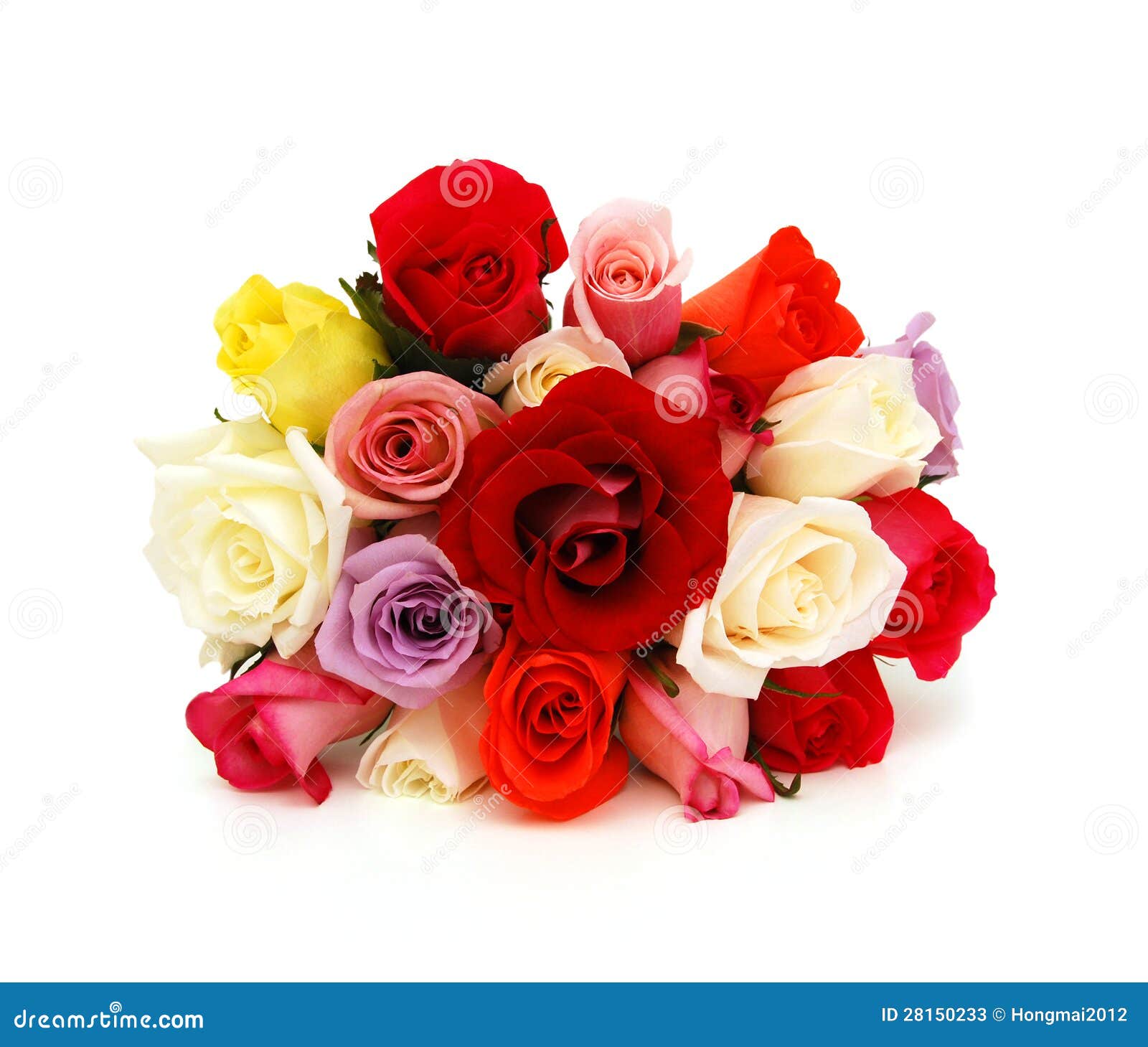 Colorful Roses, Beautiful Flower Bouquet Stock Image - Image of head ...