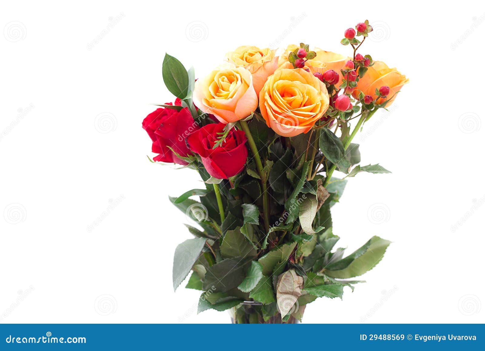 Colorful Roses in a Vase on White Background Stock Image - Image of ...