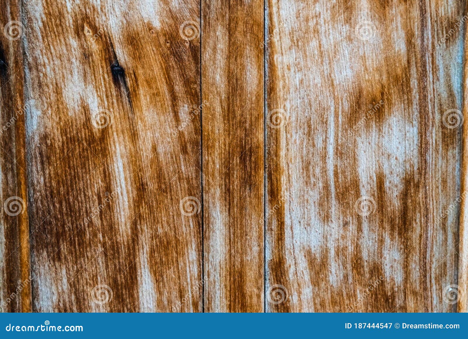 Colorful, Rough, Structural, Bright Texture and the Basis for the ...