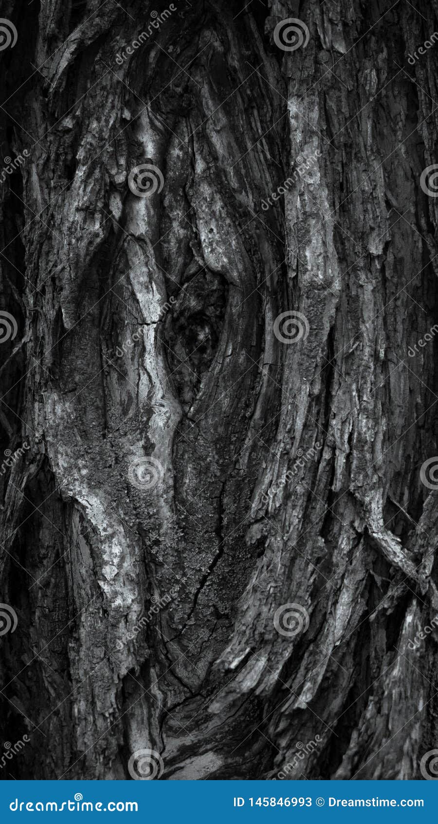 Colorful Rough Tree Texture Closeup Macro Stock Image - Image of panel ...