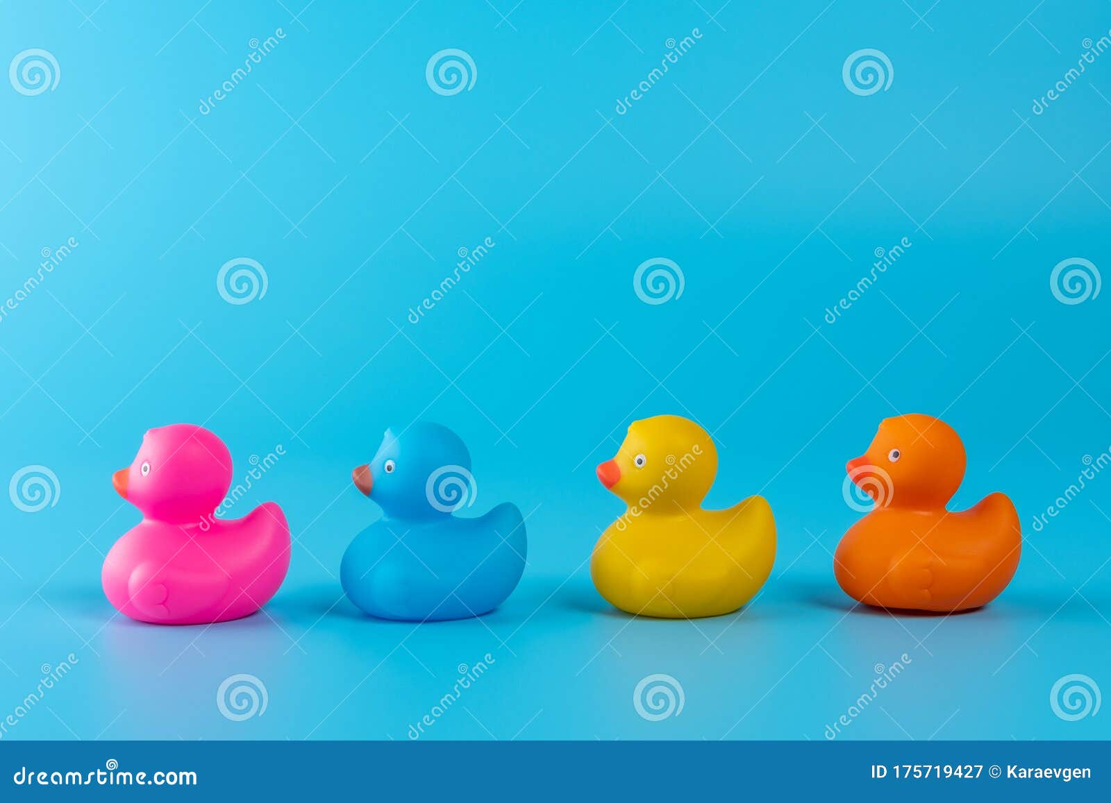 Colorful Rubber Ducks on Blue Background. Summer Minimal Concept Stock ...