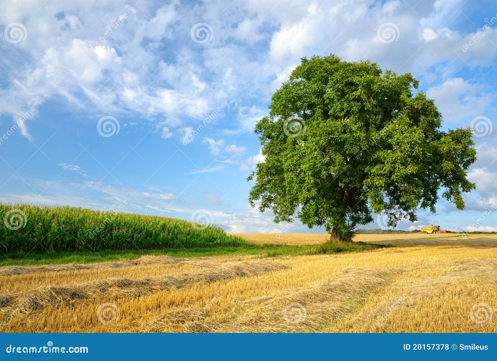 Colorful rural landscape stock photo. Image of agriculture - 20157378