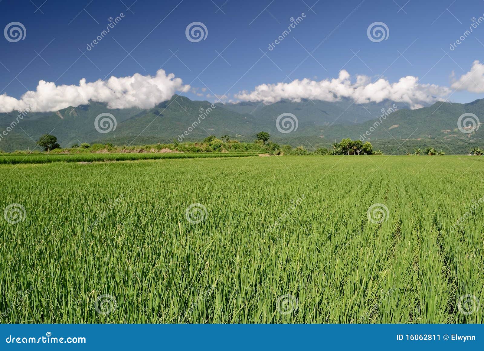 Colorful rural scenery stock image. Image of culture - 16062811