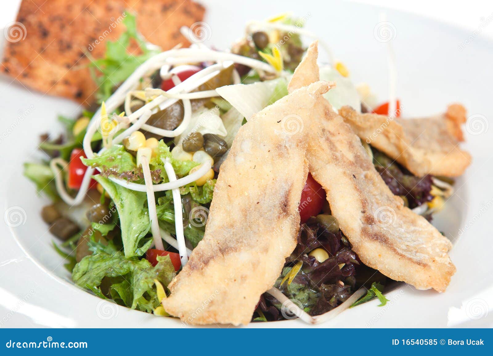 Colorful salad stock image. Image of selective, fresh - 16540585